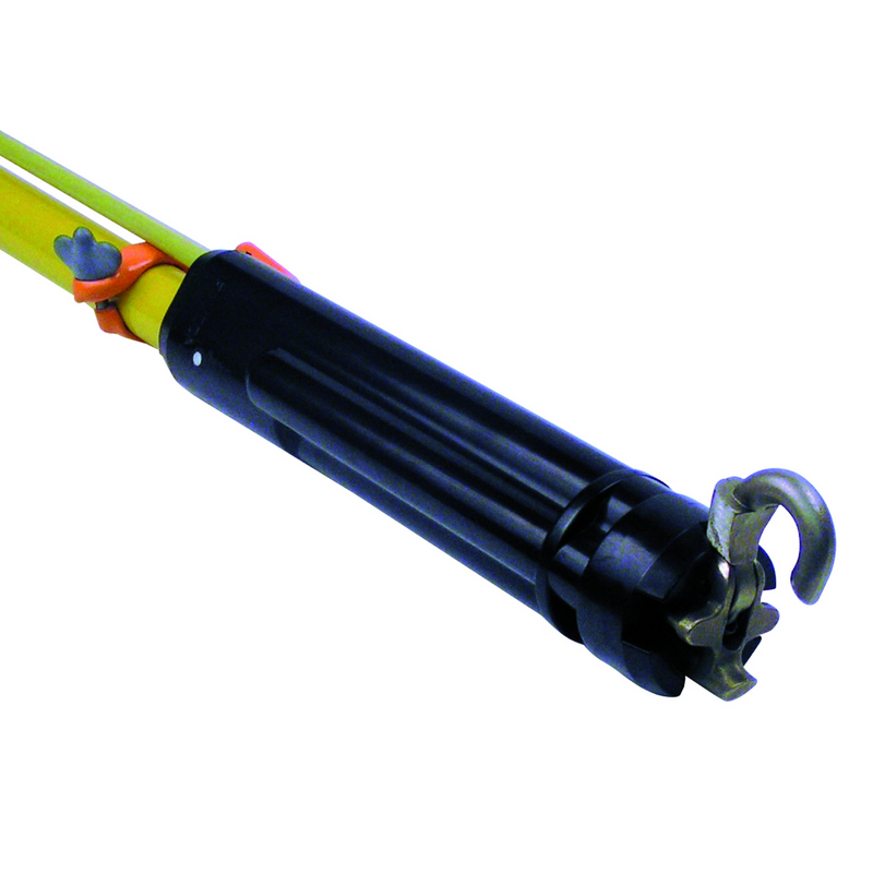 PCT - BLCO Bright Lights